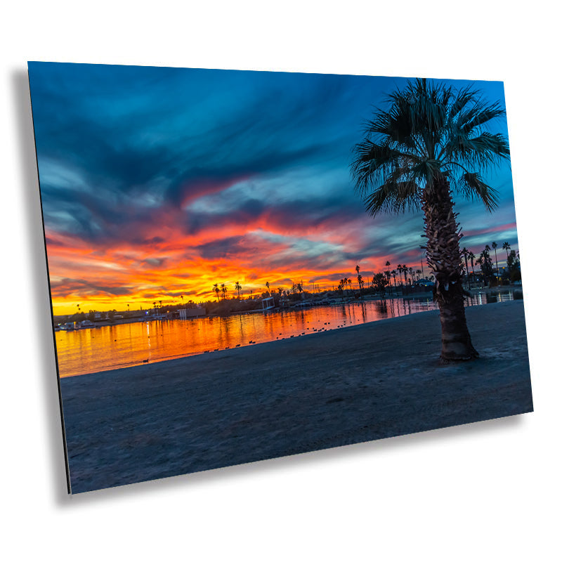 Sunset Silhouettes – Palm Trees at Lake Havasu Wall Art Photography ...